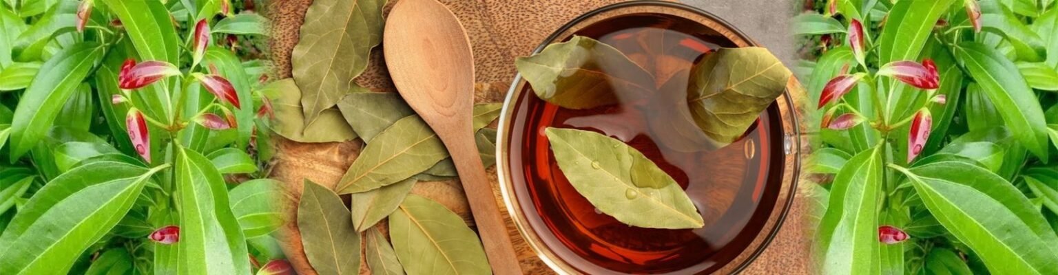 Tej Patta – meekoo.in